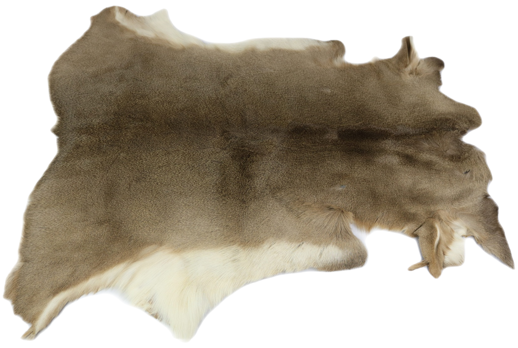 Hair On Deer Hide Centralia Fur Hide Hair On Deer Hide Centralia Fur Hide