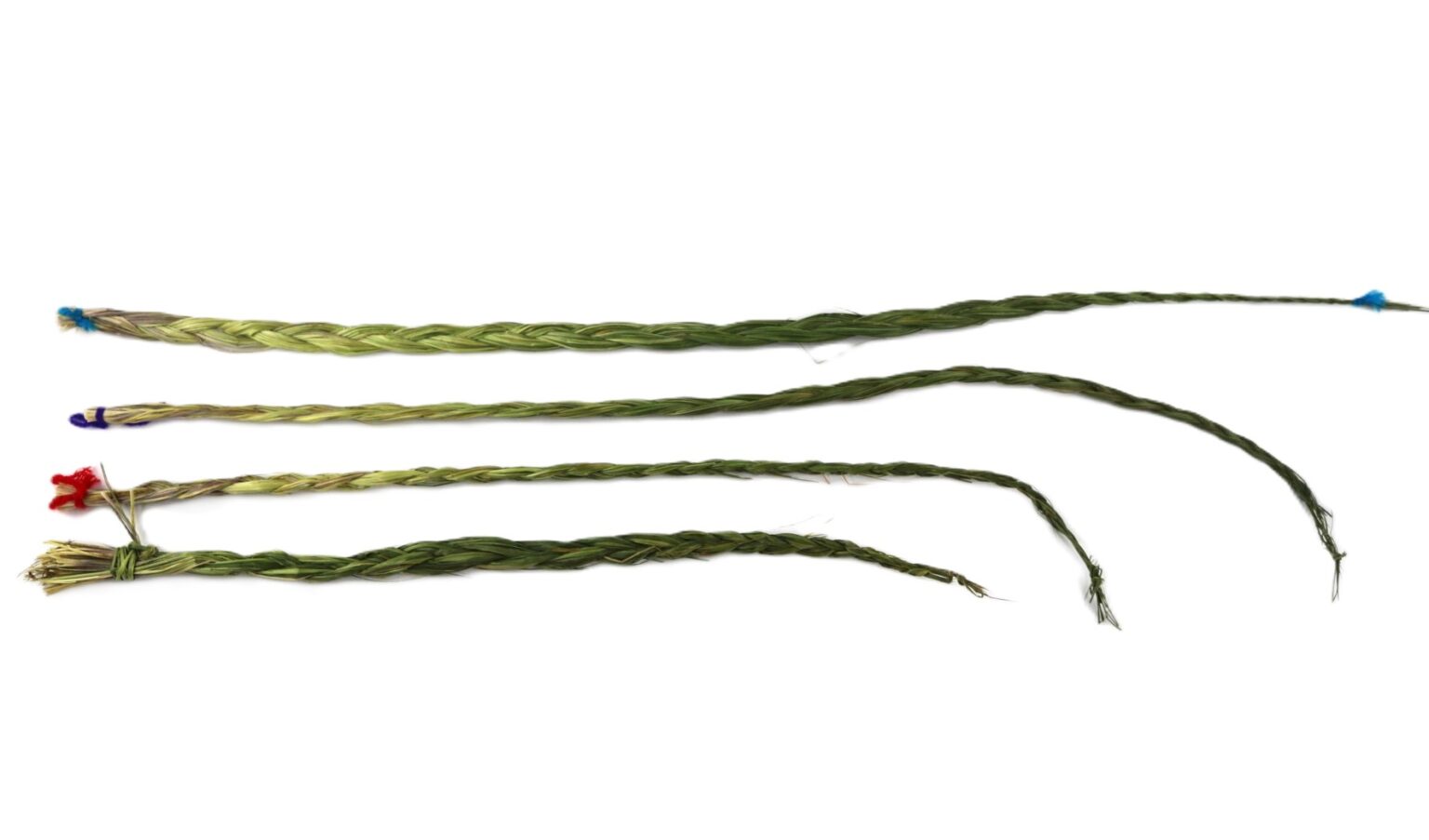 Sweetgrass braids - Centralia Fur & Hide