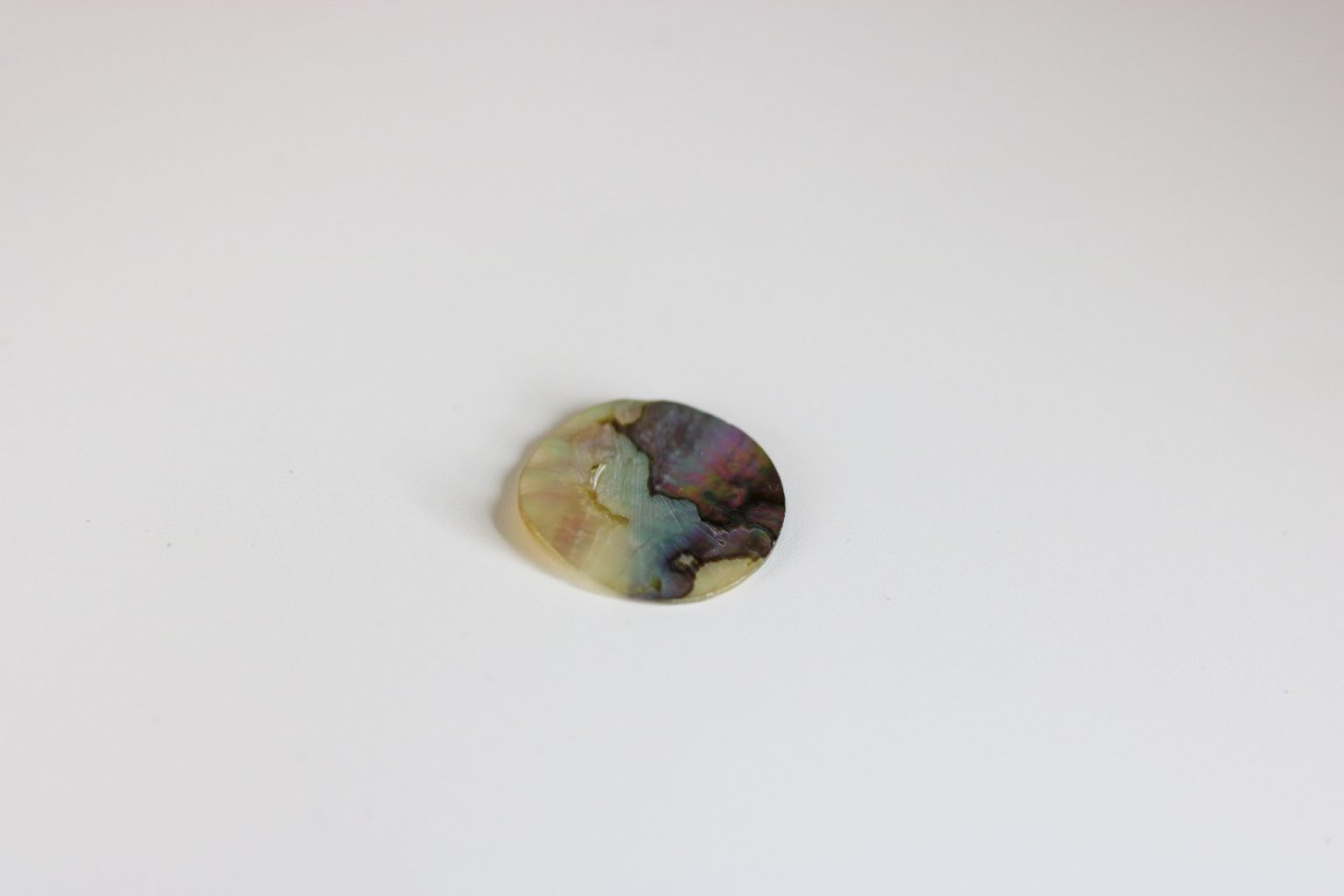 1" Abalone disc no hole - Centralia Fur & Hide