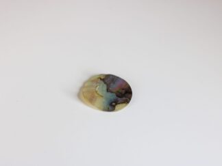 1in Abalone disc no hole - Centralia Fur & Hide