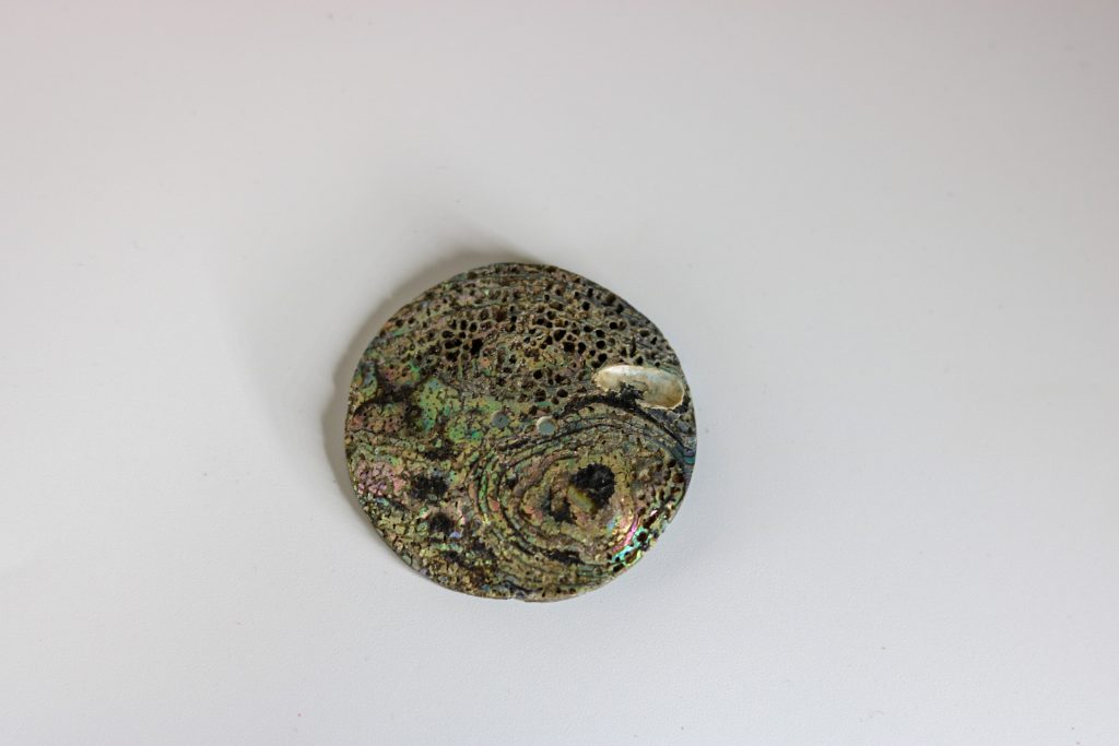 2" abalone disc 2 hole - Centralia Fur & Hide