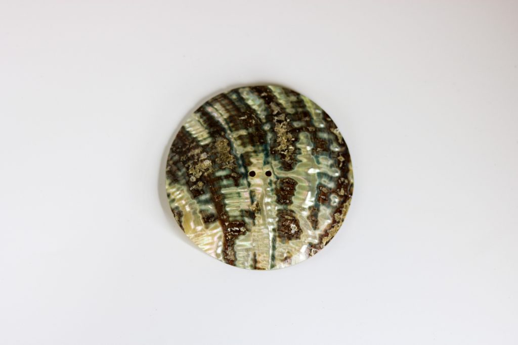 3 in Abalone disc 2 hole - Centralia Fur & Hide