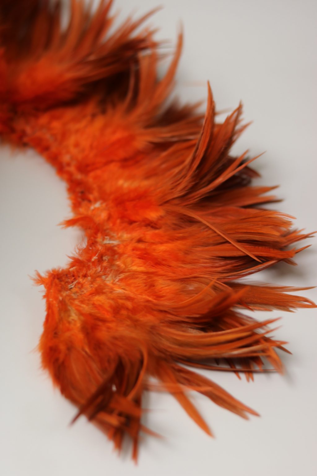 Hackles - Centralia Fur & Hide