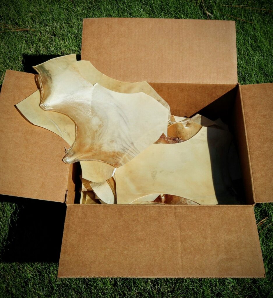 Deer rawhide scrap box - Centralia Fur & Hide