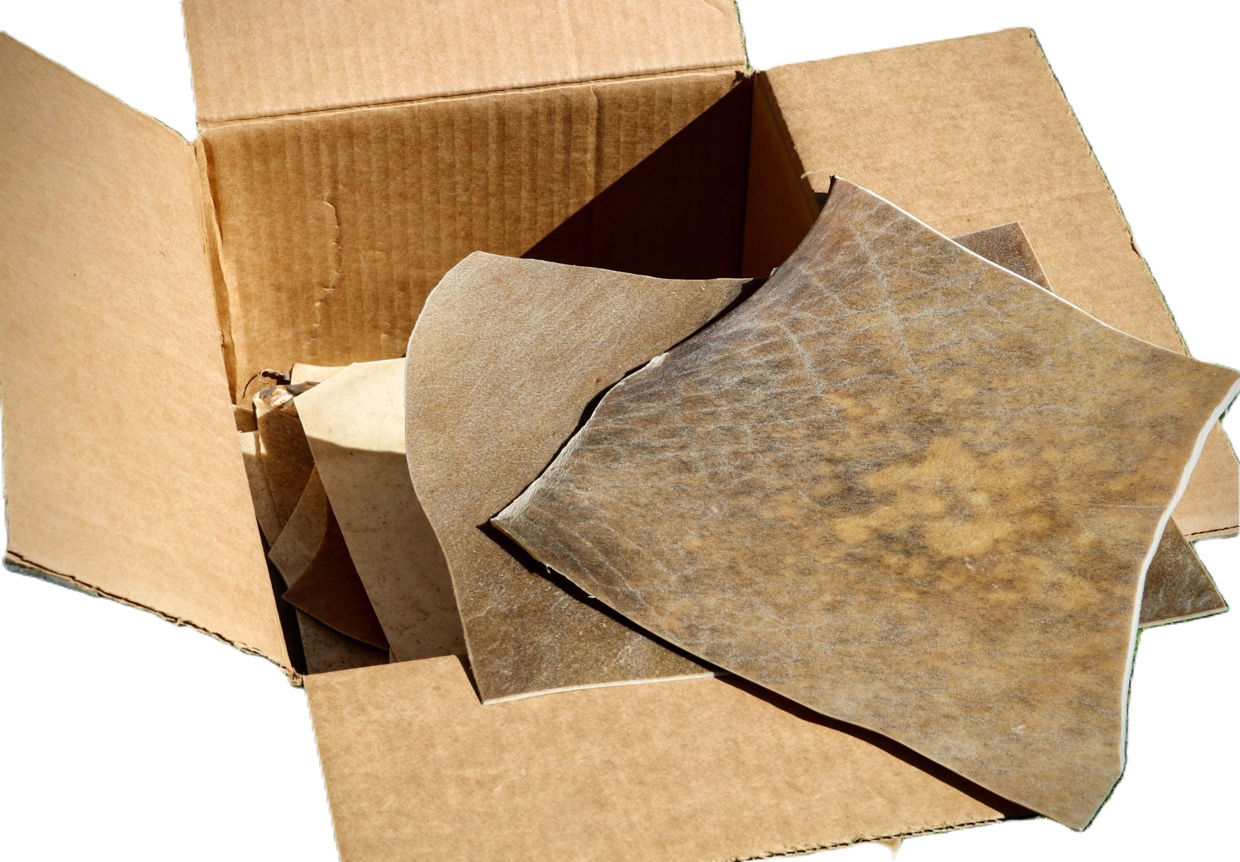 Buffalo rawhide scrap box - Centralia Fur & Hide