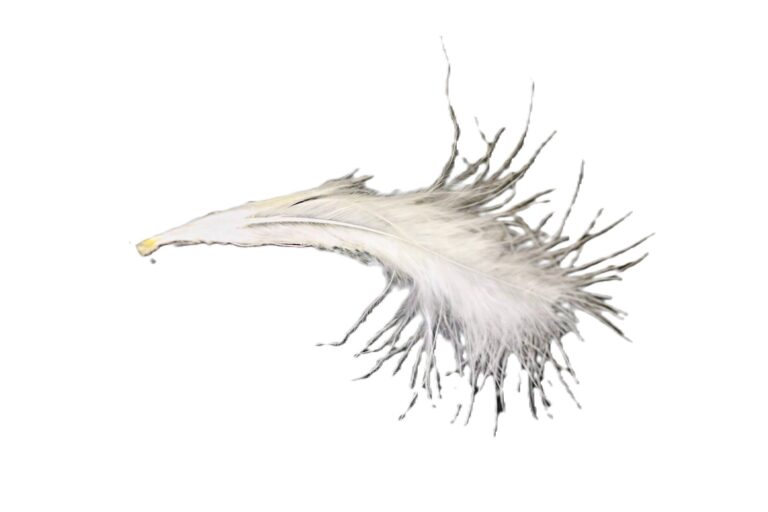 Painted feather ties - Centralia Fur & Hide