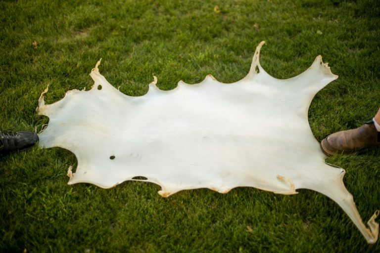 Rawhide Drum Bleached Deer| Centralia Fur & Hide