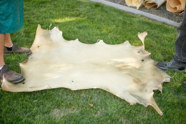 Red Stag Elk Rawhide | Centralia Fur & Hide