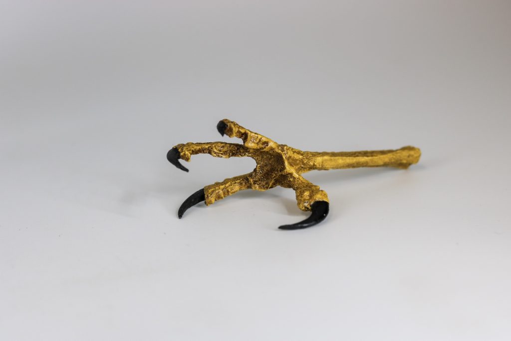 Composite Hawk Talon - Centralia Fur & Hide