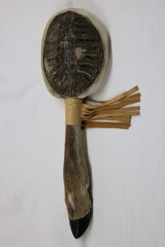 Turtle shell rattle - Centralia Fur & Hide