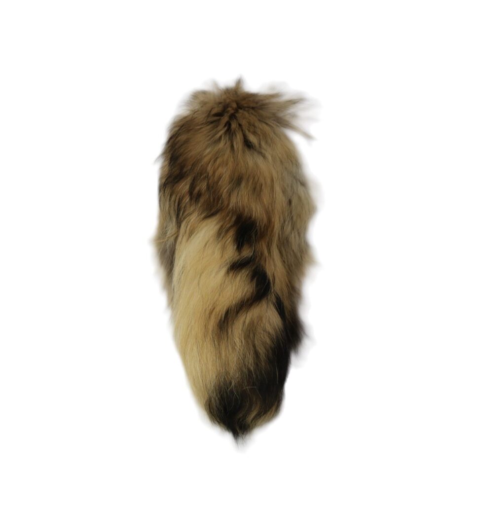 Finnish Raccoon tails - Centralia Fur & Hide