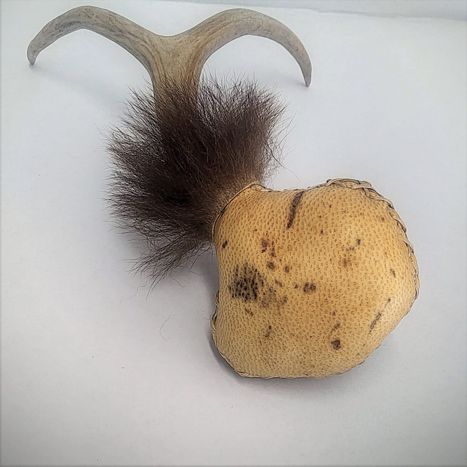 Bear rawhide rattle w/ deer antler handle & bear fur - Centralia Fur & Hide