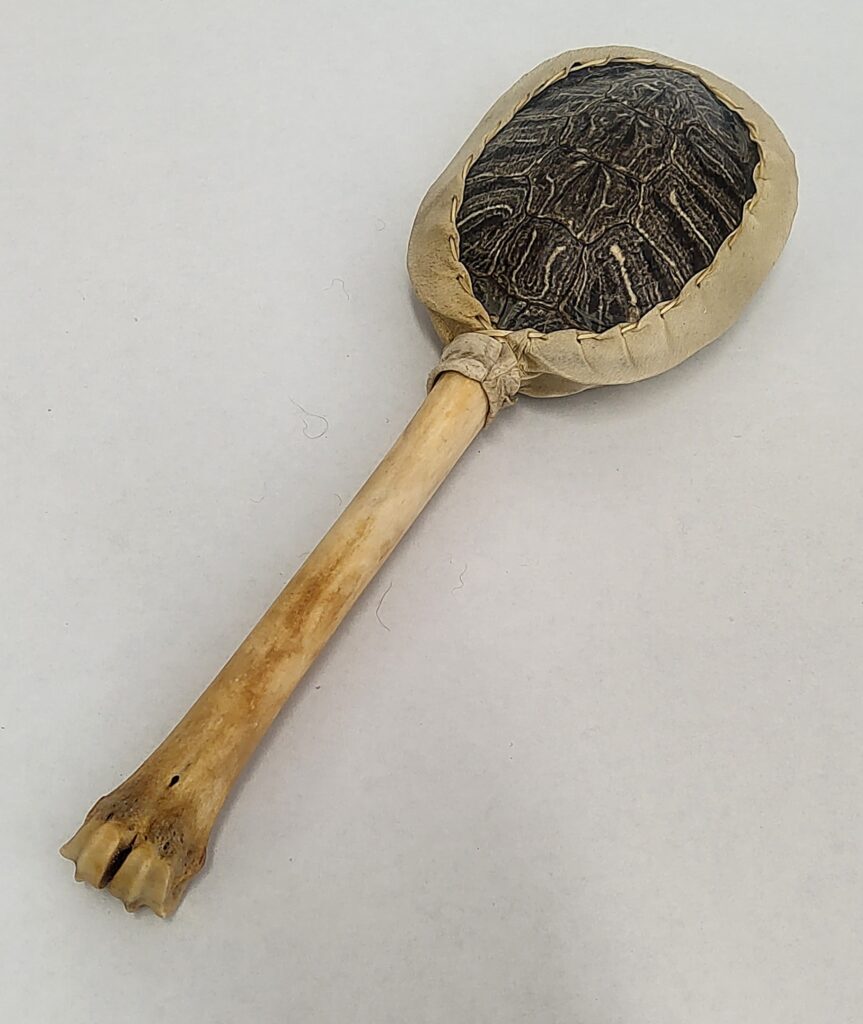 Turtle shell rattle - Centralia Fur & Hide