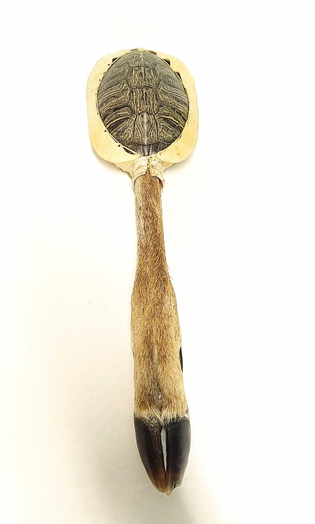 Turtle shell rattle - Centralia Fur & Hide