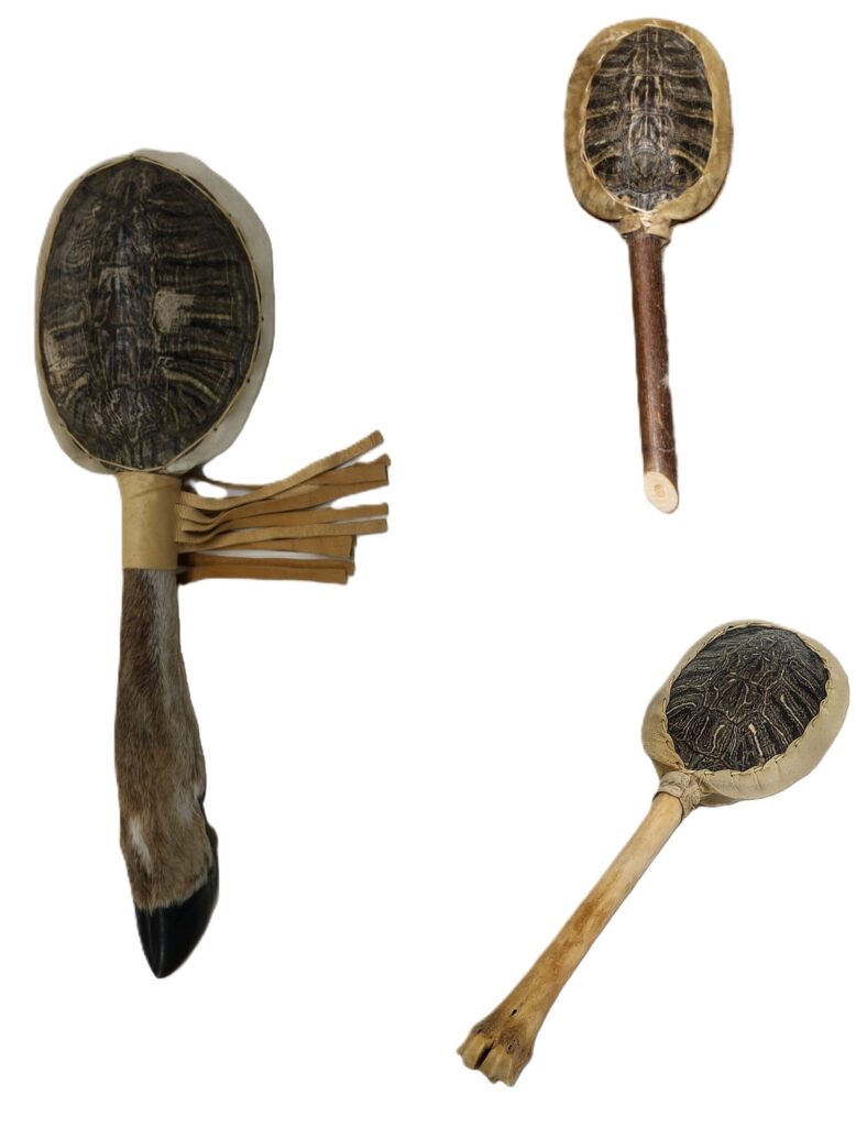 Turtle shell rattle - No Fur - Centralia Fur & Hide