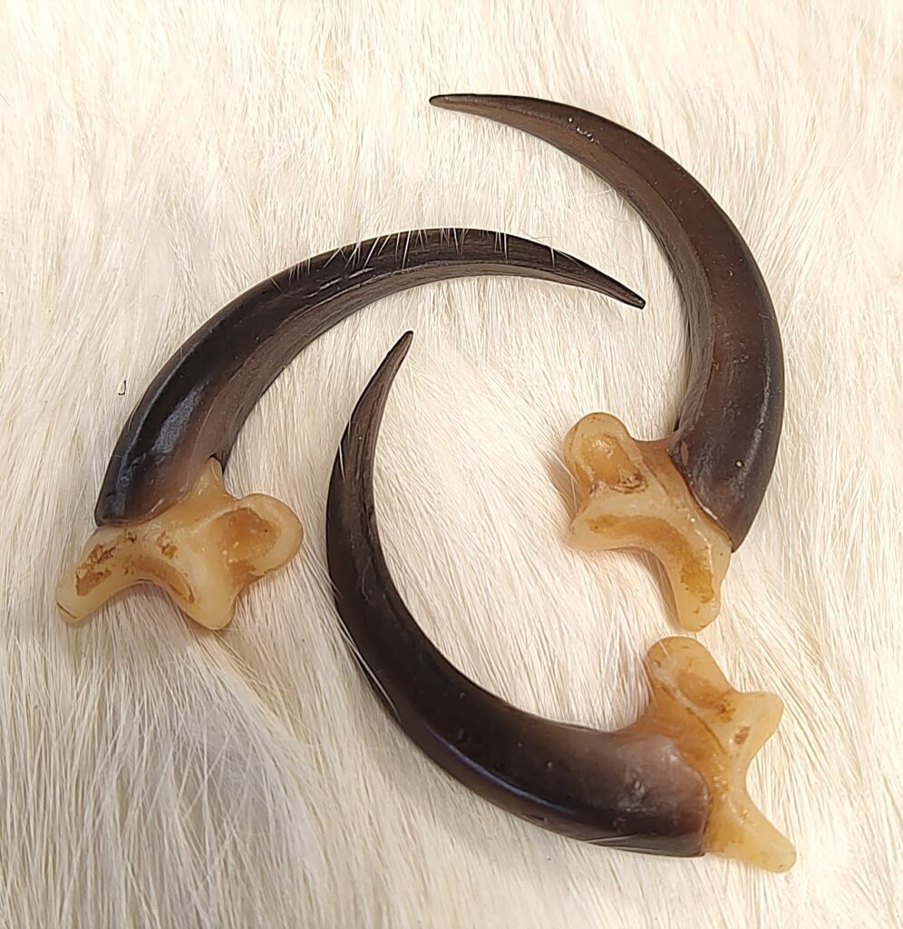 Composite eagle talon - small - Centralia Fur & Hide