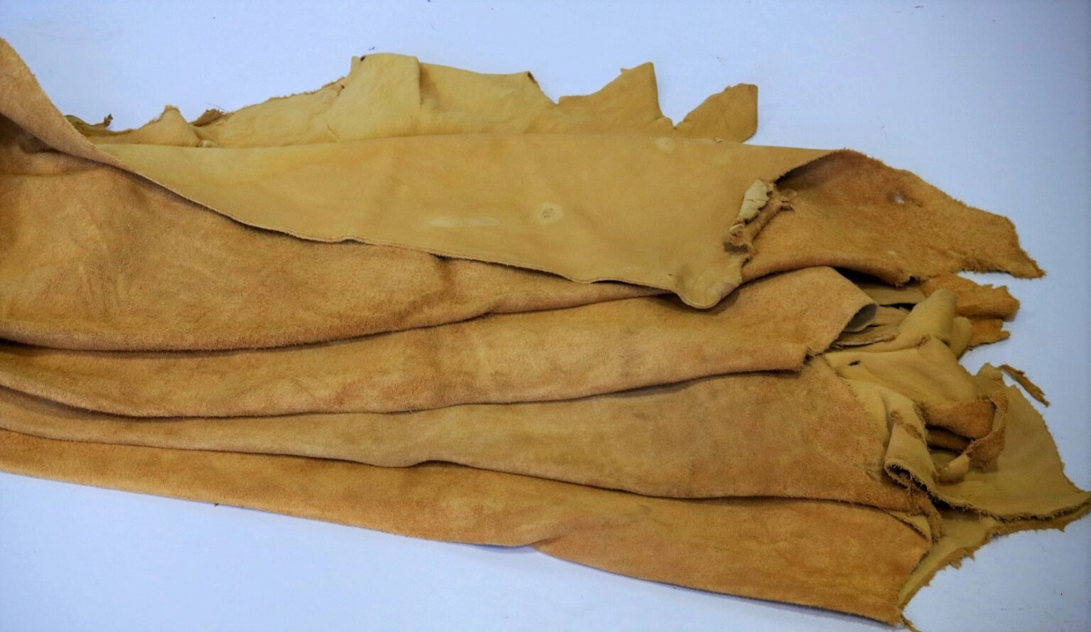 Gold Cow Leather - Centralia Fur & Hide