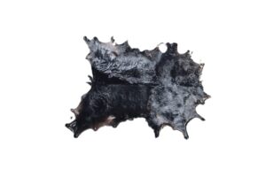 Hair On Calf Rawhide| Centralia Fur & Hide