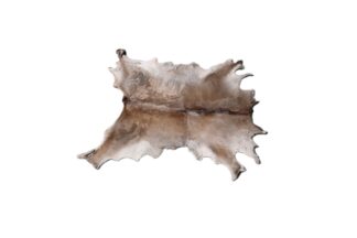 Hair On Calf Rawhide| Centralia Fur & Hide