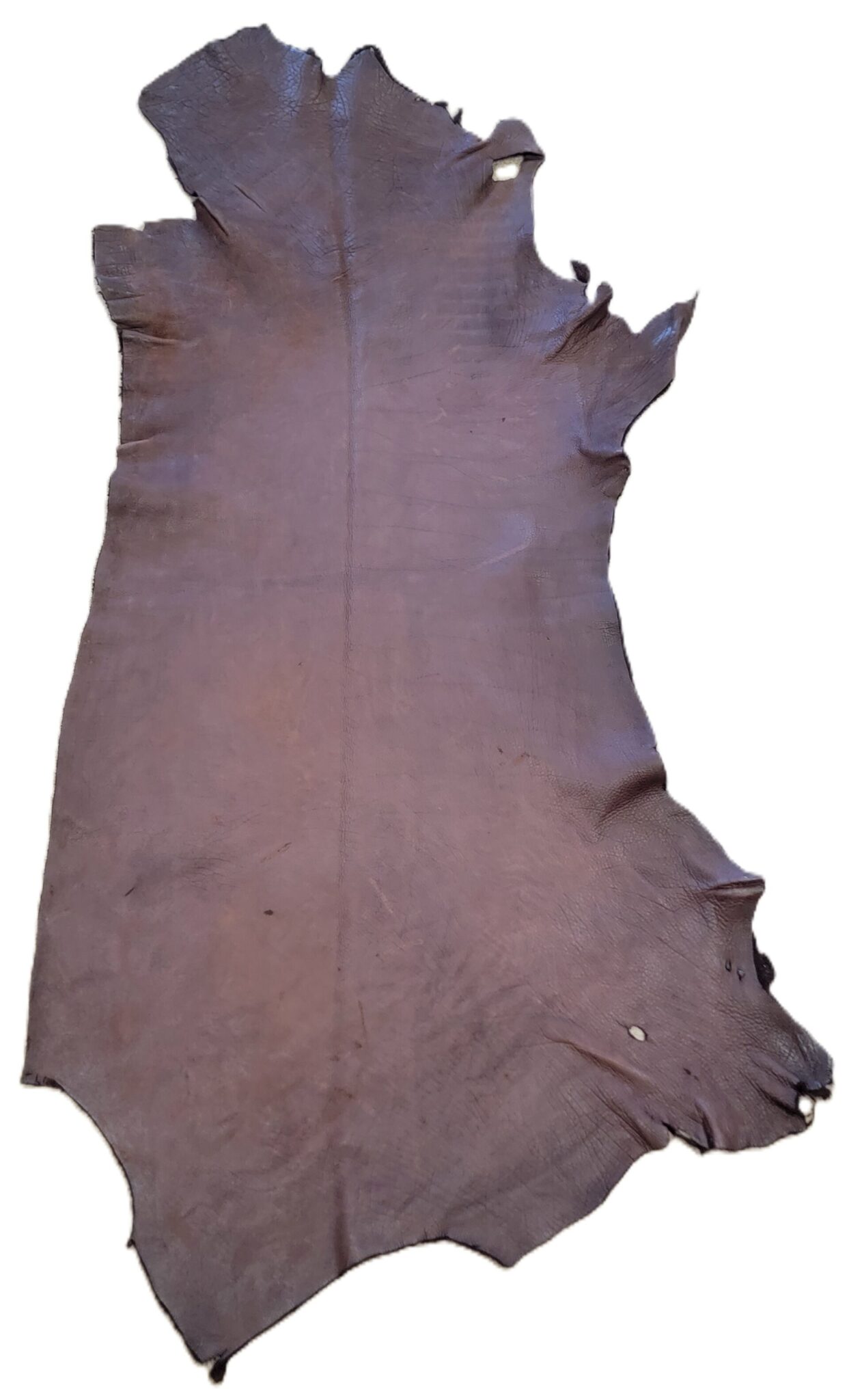 Chocolate Bison Hide | Bison Leather for Moccasins & Bags | Centralia ...