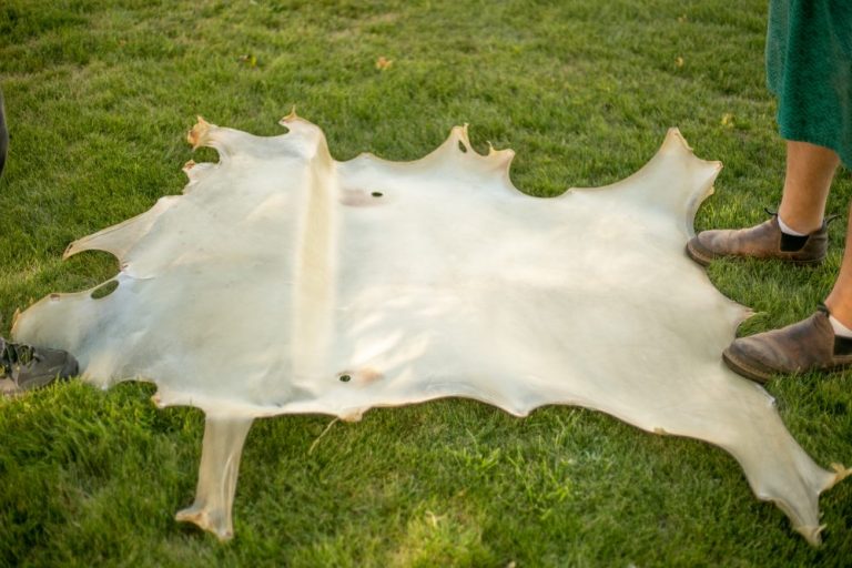 Deer Rawhide (cc+) Bleached - Centralia Fur & Hide