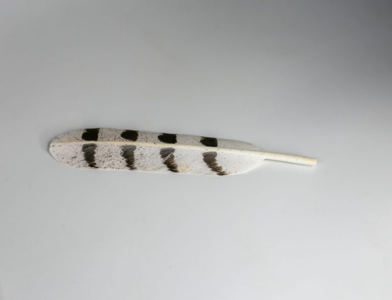 Imiation Snowy owl feather - Centralia Fur & Hide