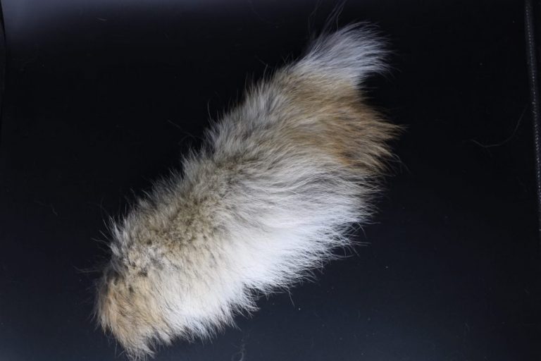 Wolf - Centralia Fur & Hide