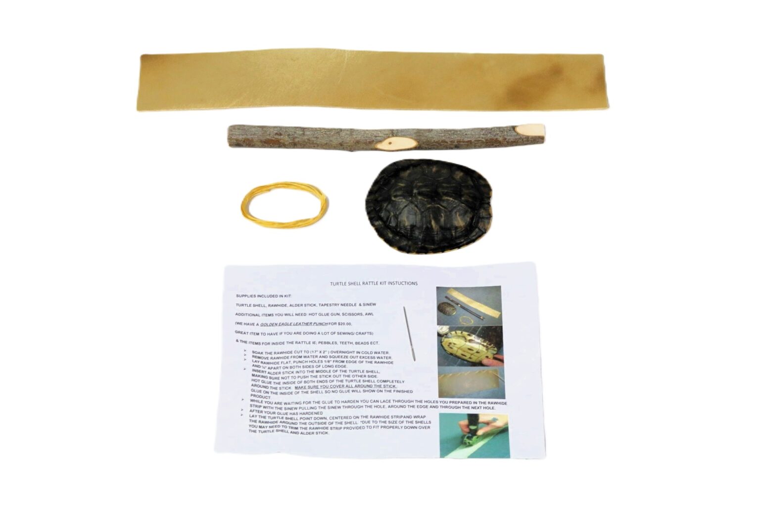 Kids Turtle Shell Rattle Kit - Centralia Fur & Hide