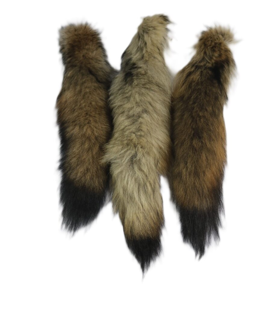 Wolf tail - Centralia Fur & Hide