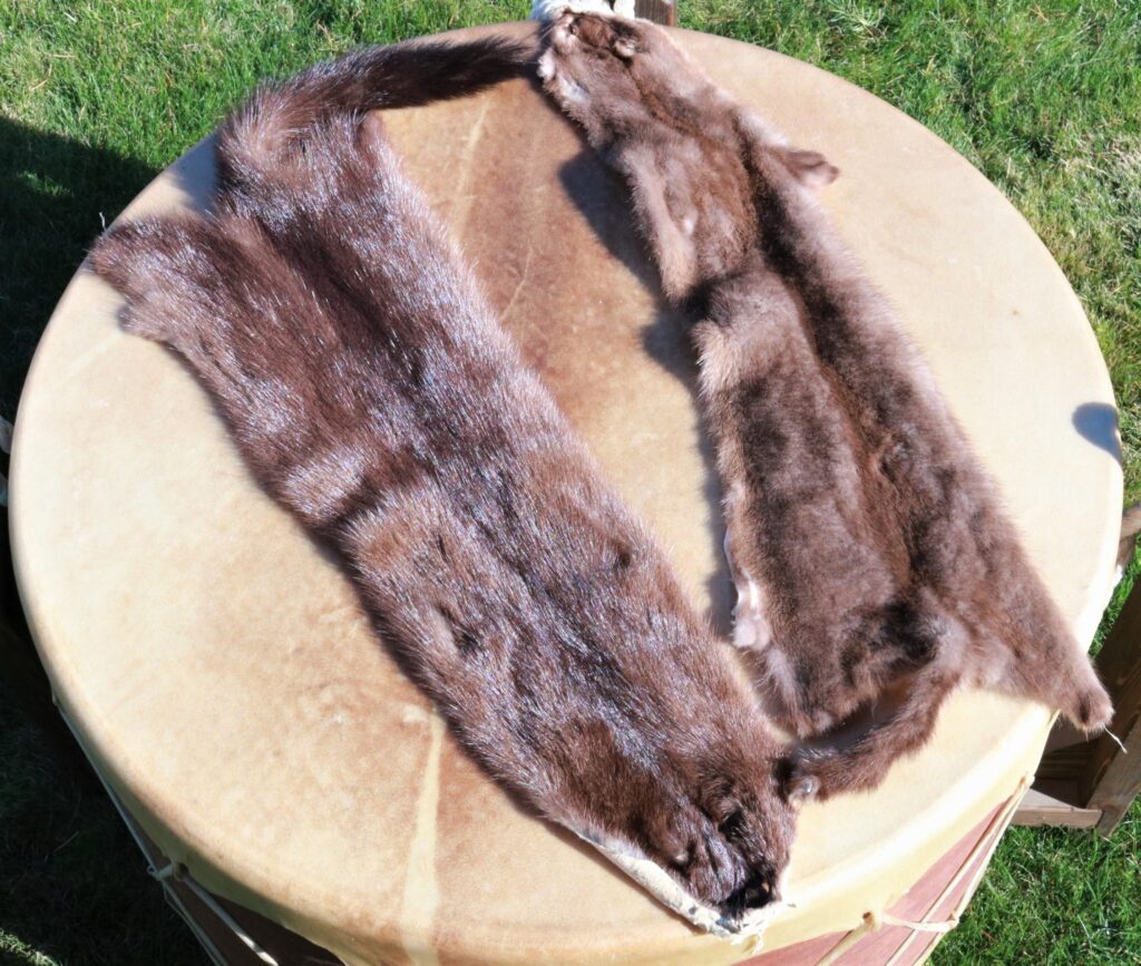 MINK SKIN TANNED XL - Centralia Fur & Hide