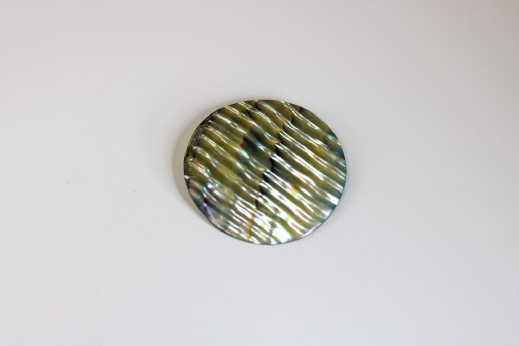 1" Abalone disc 1 - Hole - Centralia Fur & Hide