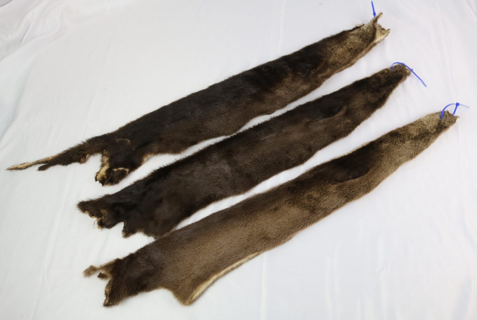 Otter Wraps - Centralia Fur & Hide
