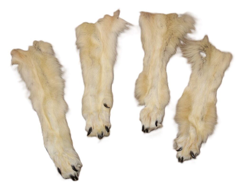 Wolf Paws with Claws - Centralia Fur & Hide