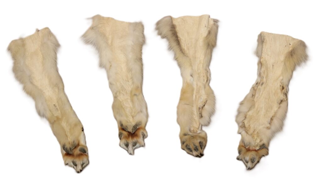 Wolf Paws with Claws - Centralia Fur & Hide