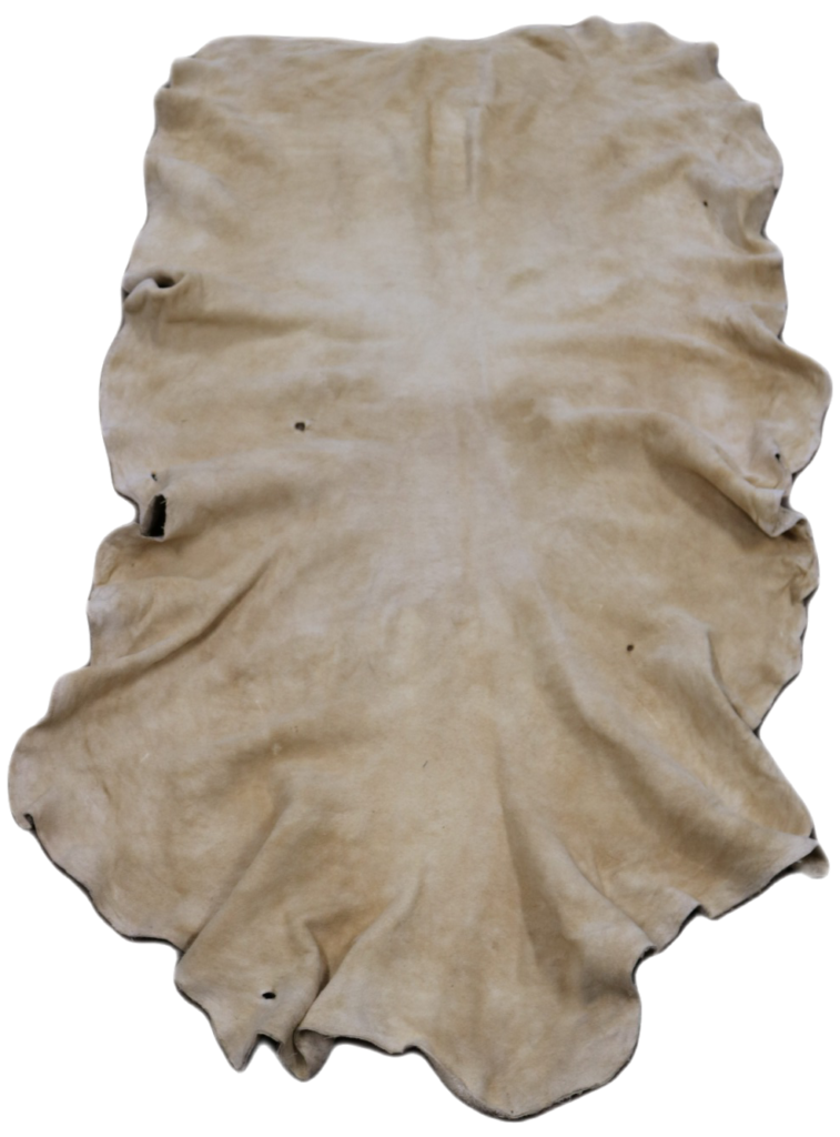 Brain Tanned Moose Leather - Centralia Fur & Hide