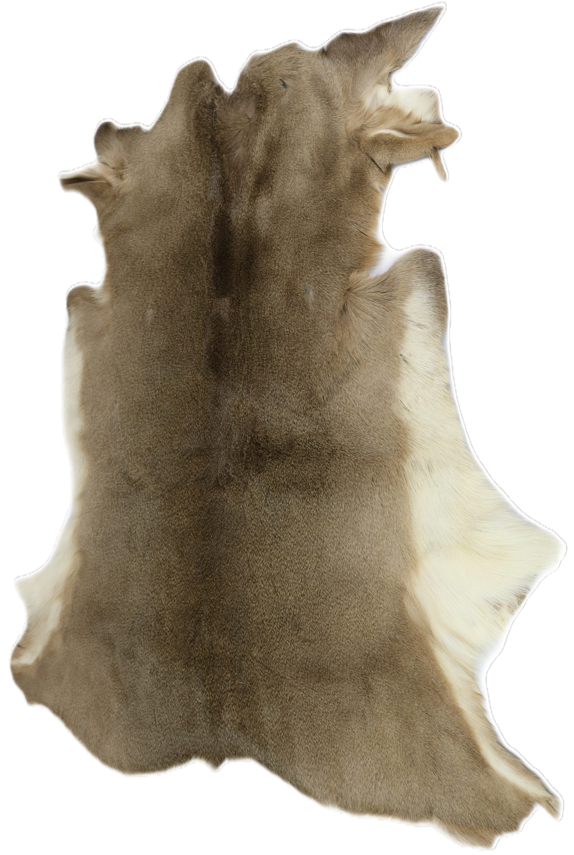 Furs - Centralia Fur & Hide