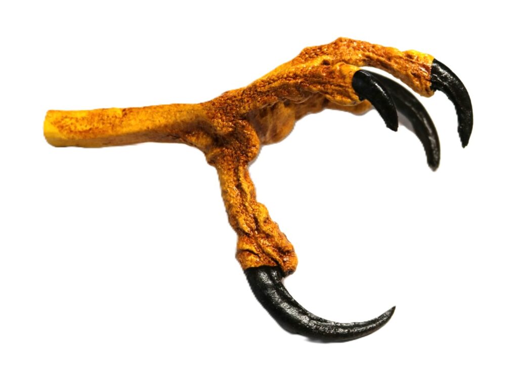 Eagle Foot Talon Claw - Composite - Centralia Fur & Hide