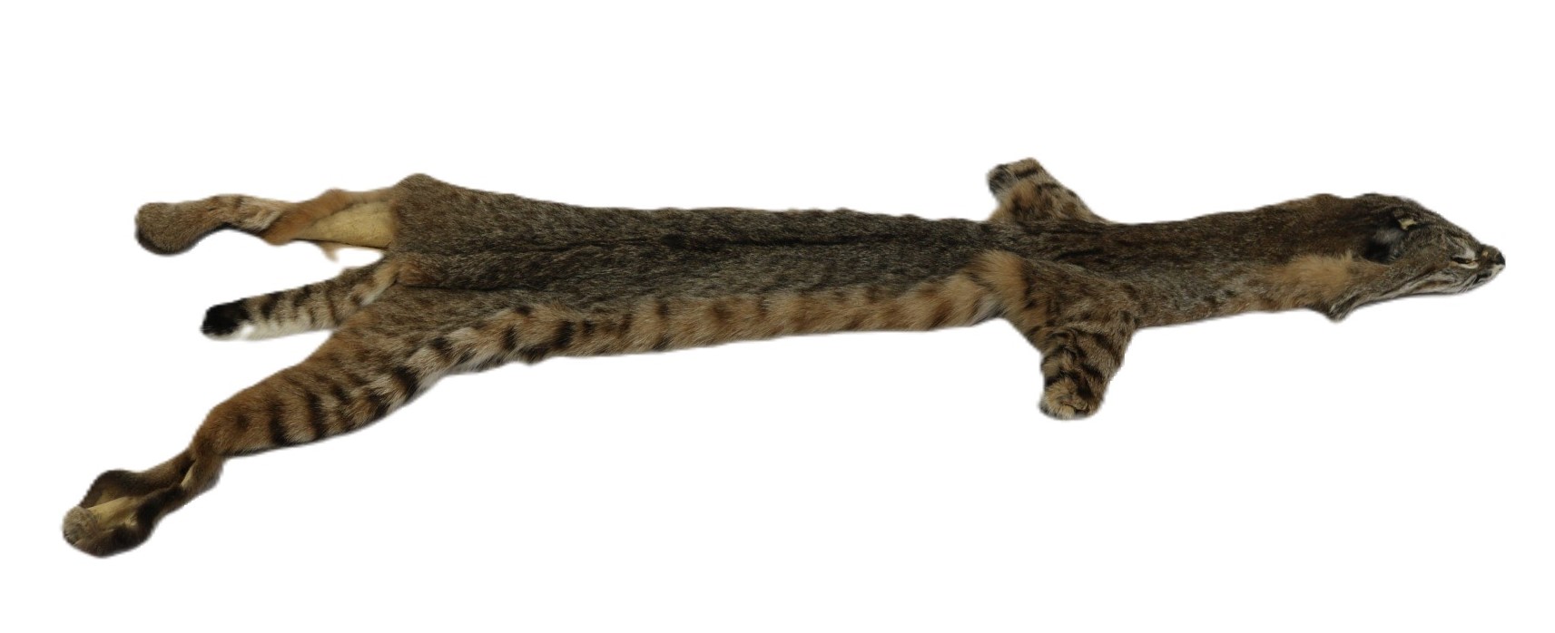 Fur Pelts | Natural Animal Furs for Craft Projects | Centralia Fur & Hide