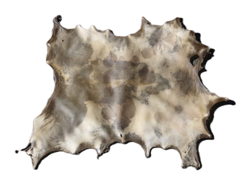 Hair On Calf Rawhide| Centralia Fur & Hide