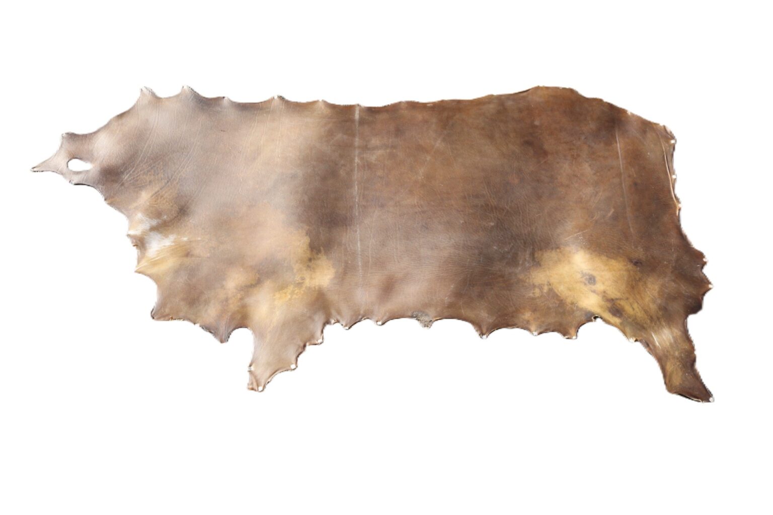 Rawhide Texas Steer Split Centralia Fur & Hide