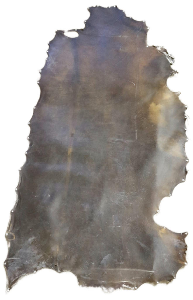 Rawhide Texas Steer Split Centralia Fur & Hide