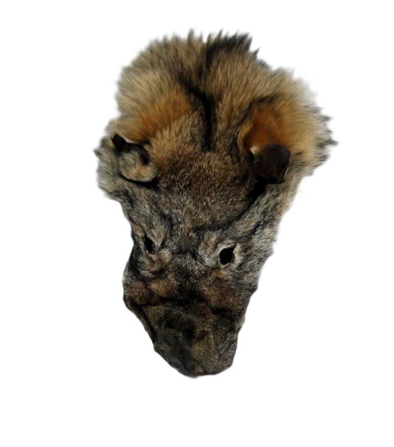 #1 Wolf Face - Centralia Fur & Hide